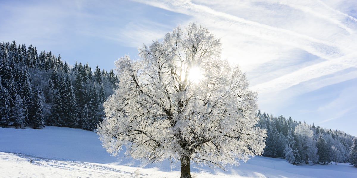 Winter - Alles zum Thema Winter im Überblick | Schweizer Illustrierte
