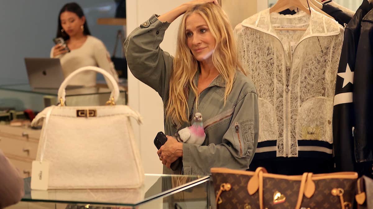 Trend Pigeon Bag von JW Anderson: Ist die neue It-Bag eine Taube ...