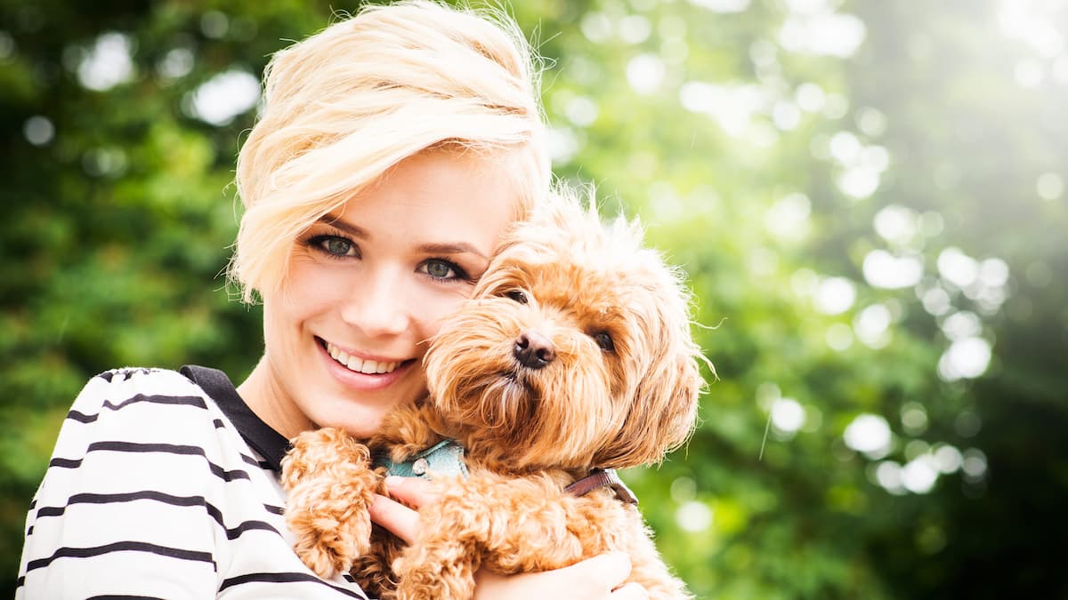 Dominique Rinderknecht trauert um ihren Hund Muffin - der Havaneser ...