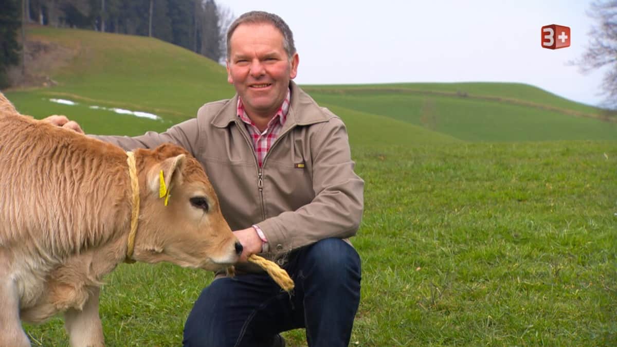 «Bauer, ledig, sucht...»-Landwirt Peter ist verliebt | Schweizer ...