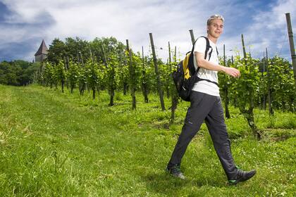 Reto Scherrer - Alles zum Thema Reto Scherrer im Überblick | Schweizer ...