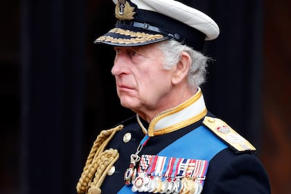 Gans - Alles zum Thema Gans im Überblick | Schweizer Illustrierte